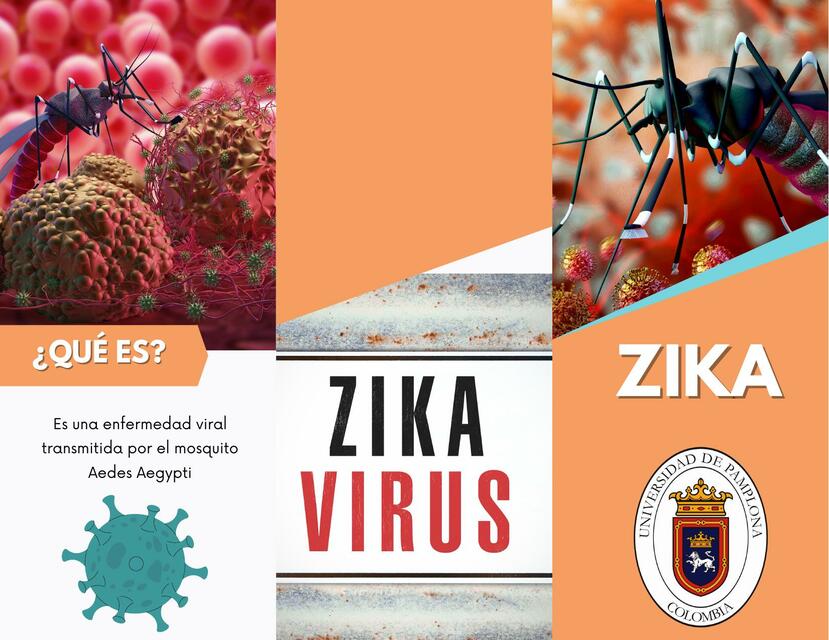 Zika Virus | Camila Dominguez | uDocz