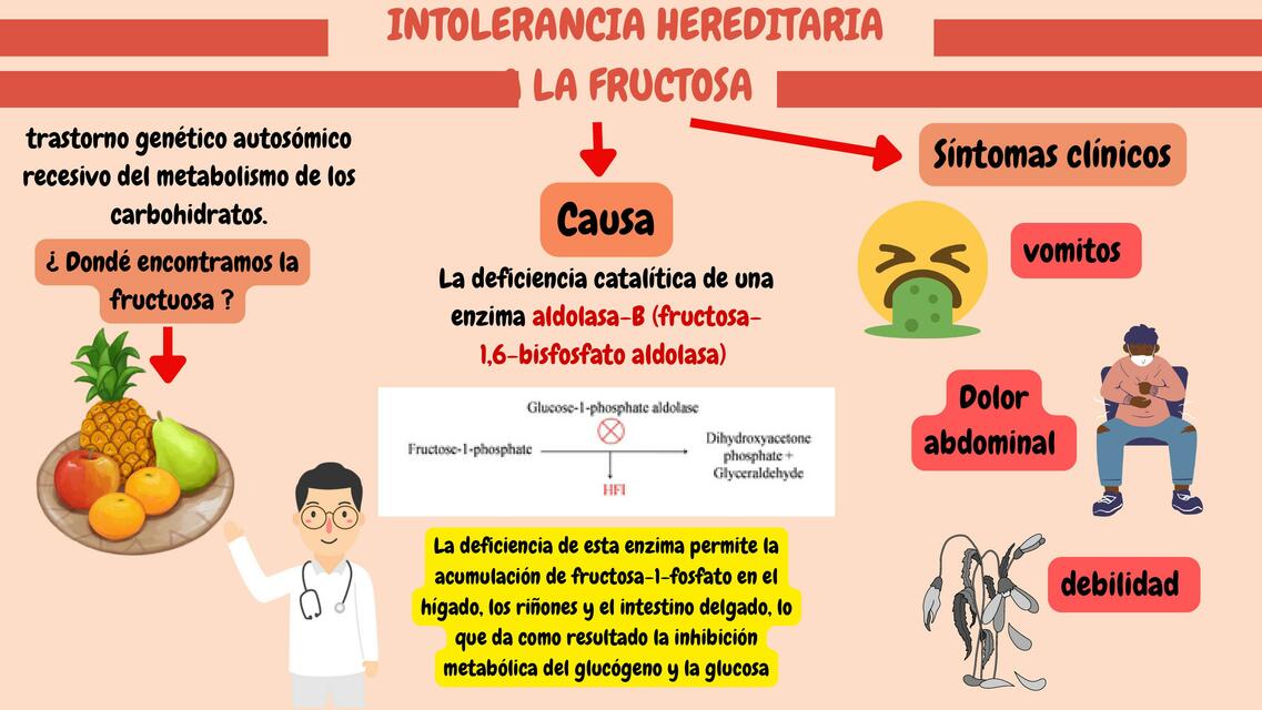 Intolerancia A La Fructosa: Síntomas, Causas Y Cómo Tratarla – WTQM