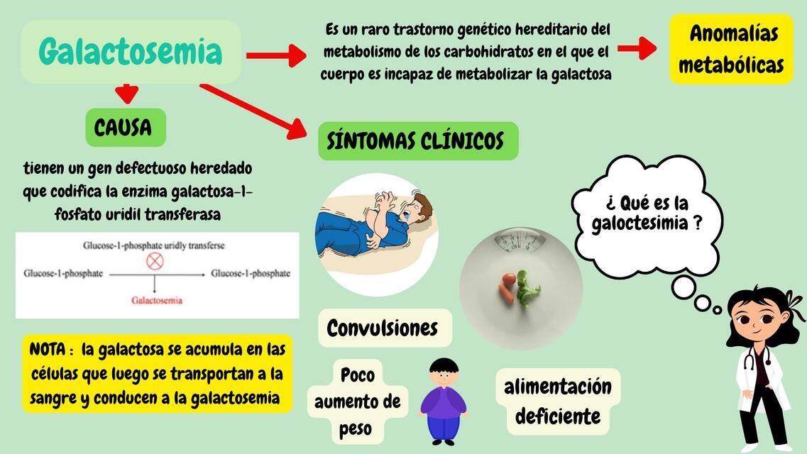 Galactosemia | Bosque | uDocz