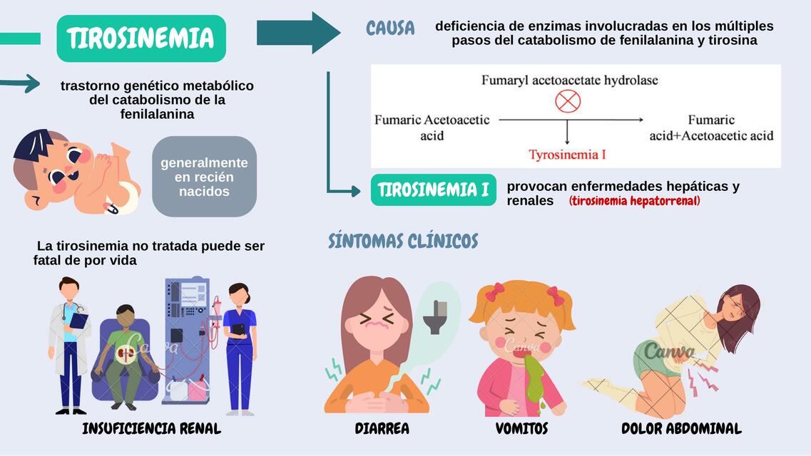 Tirosinemia | Bosque | uDocz
