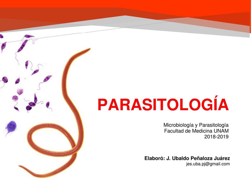 Helmintos tisulares | Alisson Gomora Gonzalez | uDocz