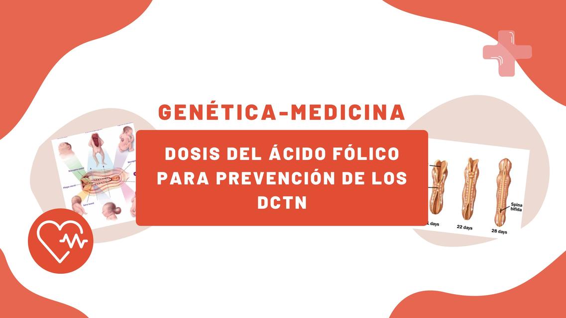 Dosis del ácido fólico | Bosque | uDocz