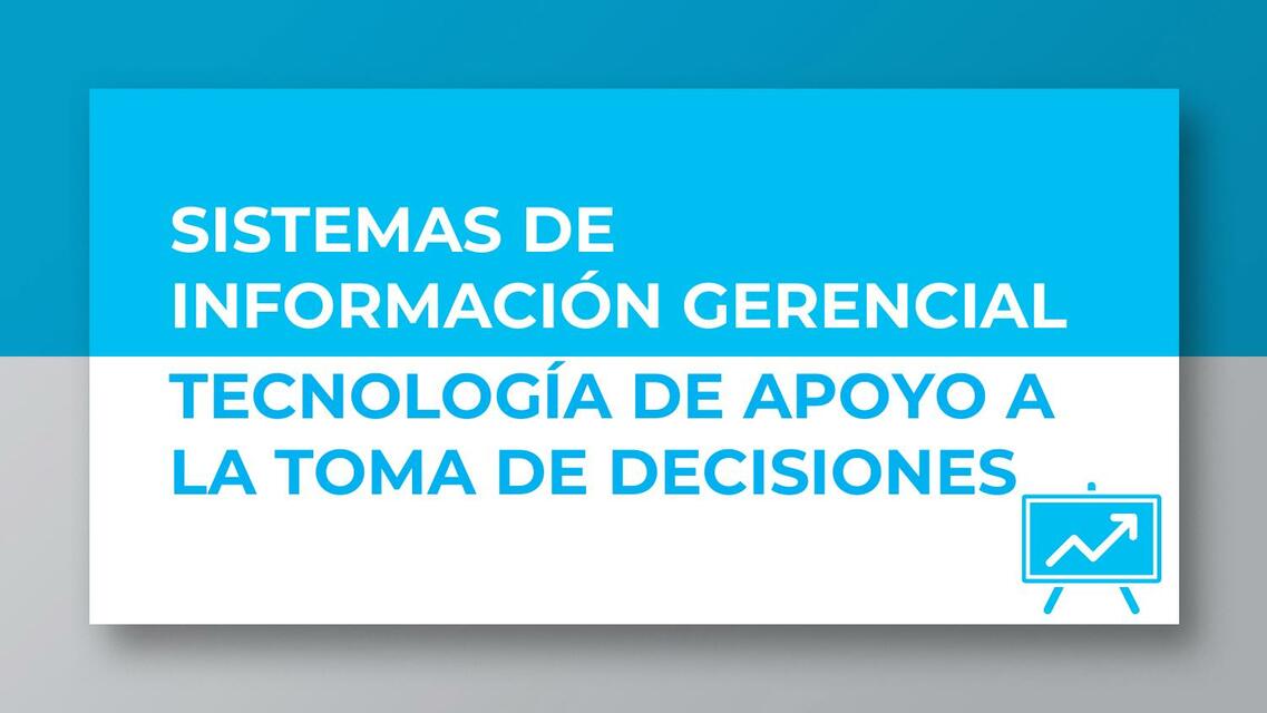 Sistemas de Información Gerencial- Tecnología de Apoyo a la Toma de ...