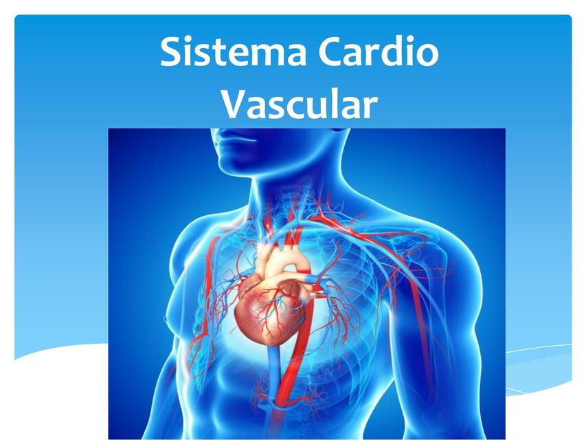 Sistema Cardio Vascular | Enfermería | uDocz