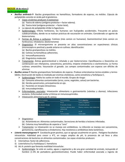 Bacilos | MEDilove | uDocz