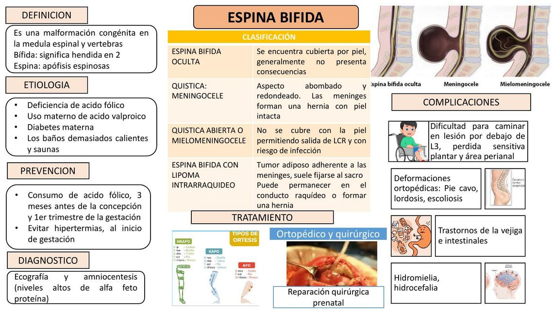 Espina Bífida | medice | uDocz