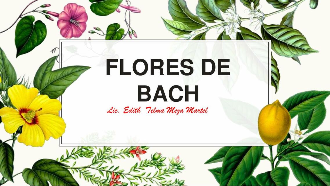Flores de Bach | Linda Milena León Gómez | uDocz