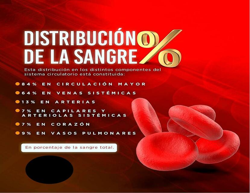 Distribucion de la sangre | fraii | uDocz