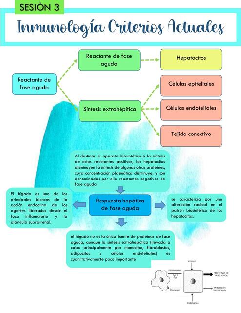 Inmunología Criterios Actuales | MARYURI LISBETH | uDocz
