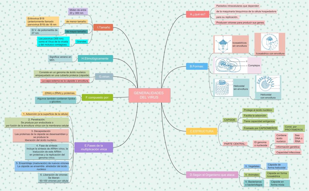 Mapa: virus | MARYURI LISBETH | uDocz