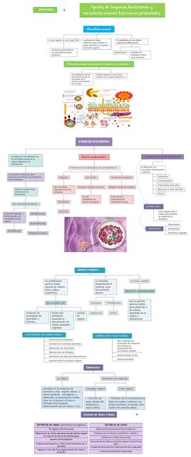 Microbiota normal | MARYURI LISBETH | uDocz