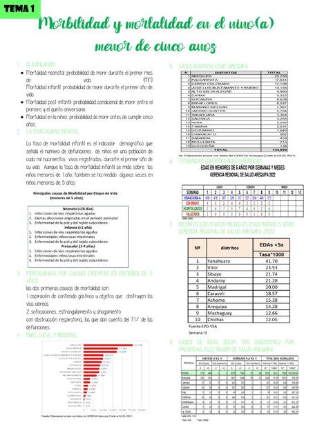 Tema 1 morbilidad y mortalidad en el niño menor de edad | Sonya ...