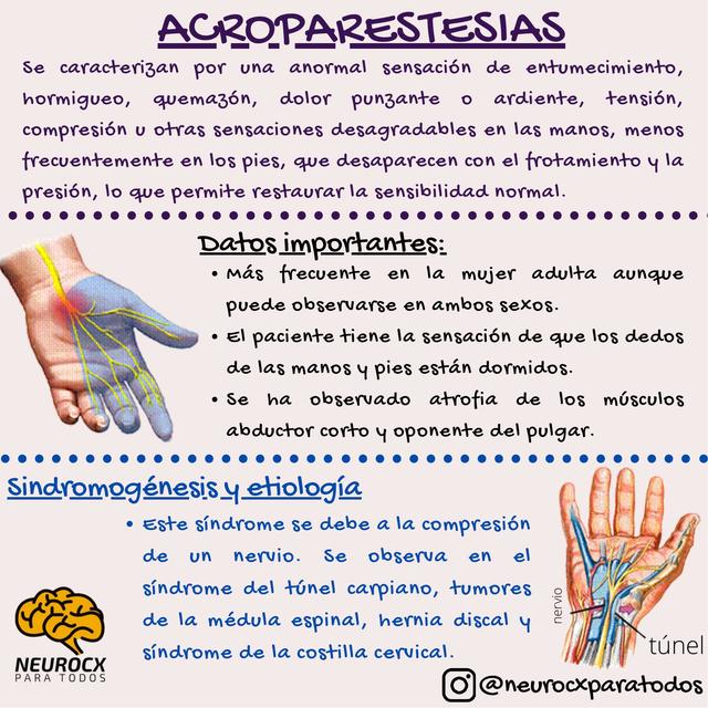 DATOS IMPORTANTES SOBRE ACROPARESTESIAS | ¡¡Neurocirugía Para Todos ...
