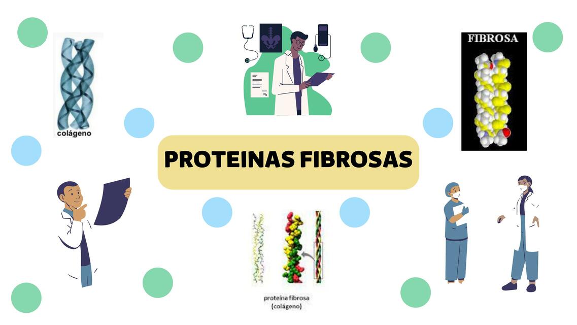 Proteínas Fibrosas | Jeremy Castillo | uDocz