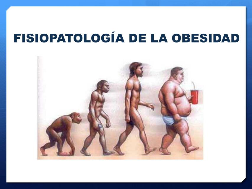 Fisiopatología De La Obesidad Medilove Udocz