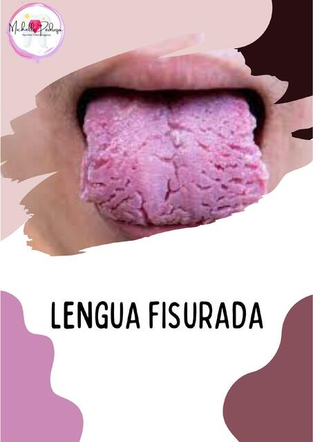 Odontologia | uDocz