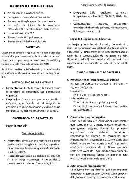 Dominio bacteria | Sam | uDocz