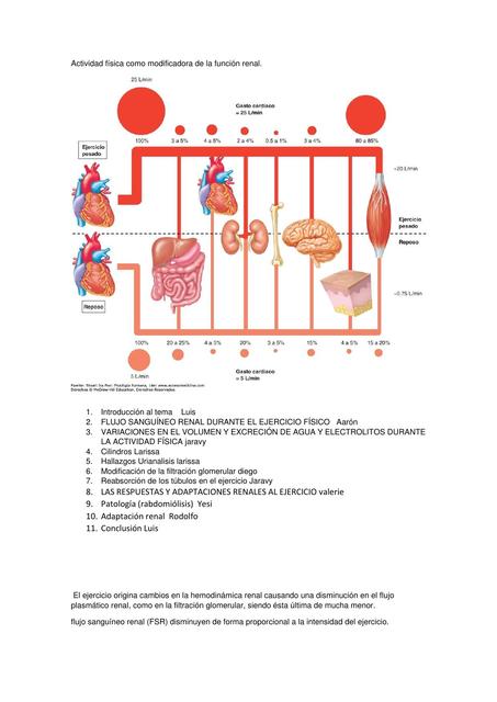 Función renal | MEDilove | uDocz