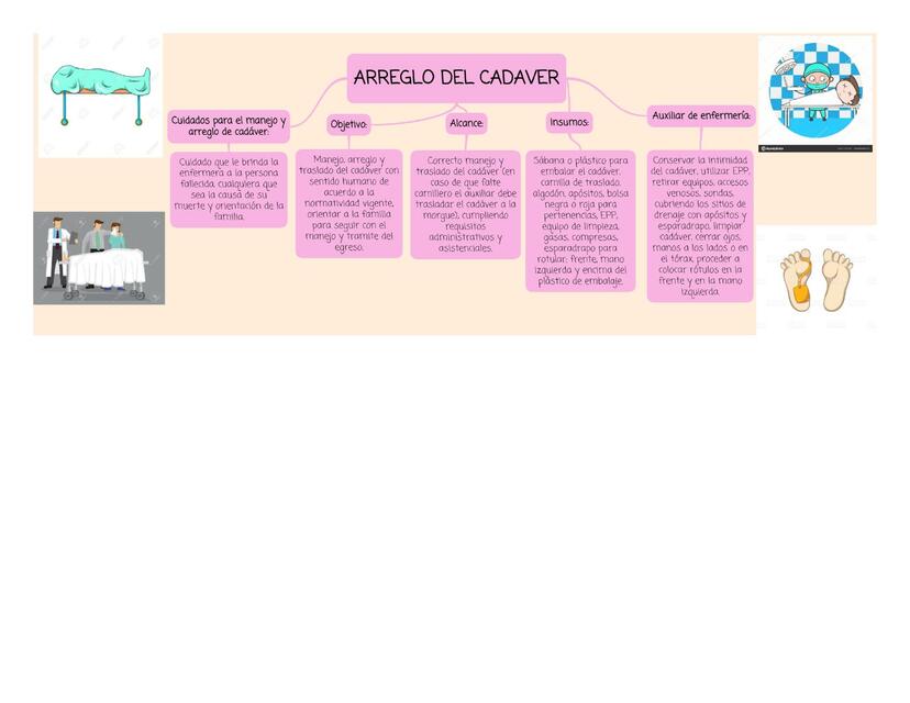 Arreglo del cadáver | Forensic.notes | uDocz