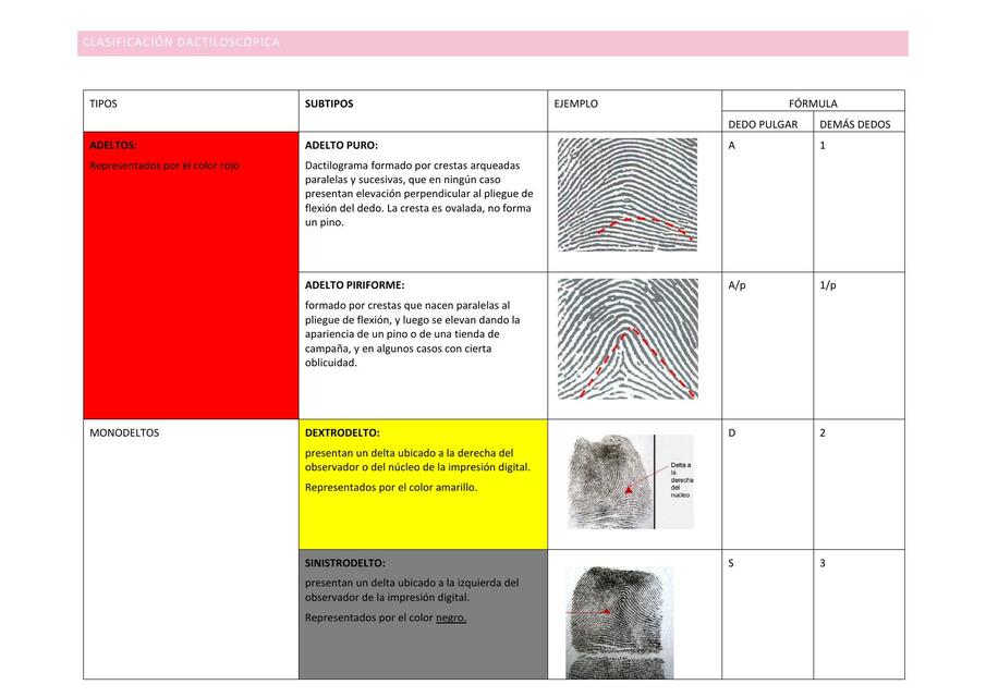 Clasificación Dactiloscópica | Naiella | uDocz