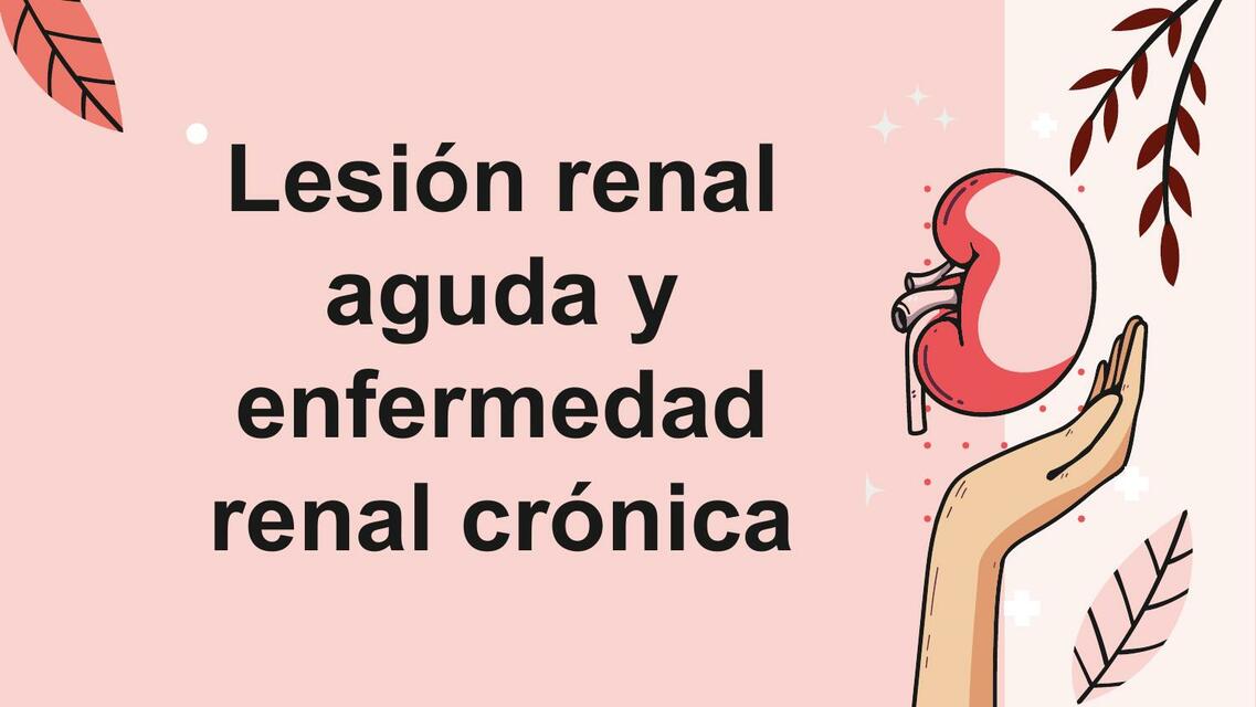 Lesión renal aguda y enfermedad renal crónica | ESPM MEDICINA | uDocz