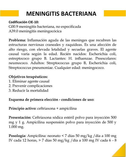 Meningitis bacteriana | Diego Israel Tipan, MD. - Apuntes Médicos | uDocz