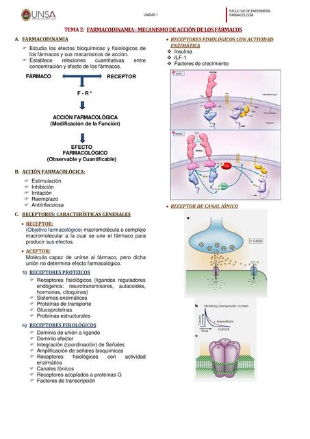Farmacodinamia | study_enf | uDocz