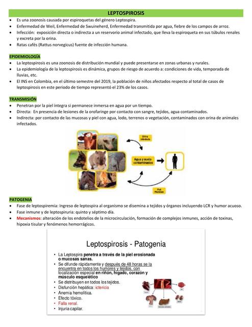 Leptospirosis en pediatría | Jess | uDocz