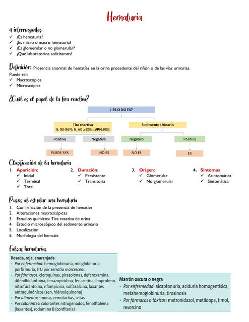 Hematuria En Pediatría Jess Udocz