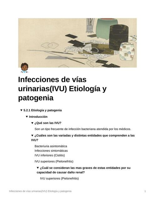 Infecciones de vías urinarias(IVU) | ESPM MEDICINA | uDocz