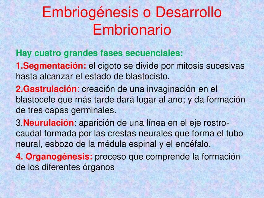 Embriogénesis o Desarrollo Embrionario | MEDilove | uDocz