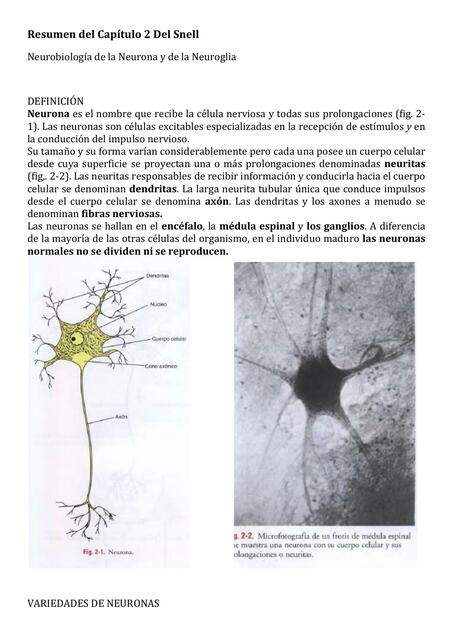Resumen del Capítulo 2 del Snell | MEDilove | uDocz