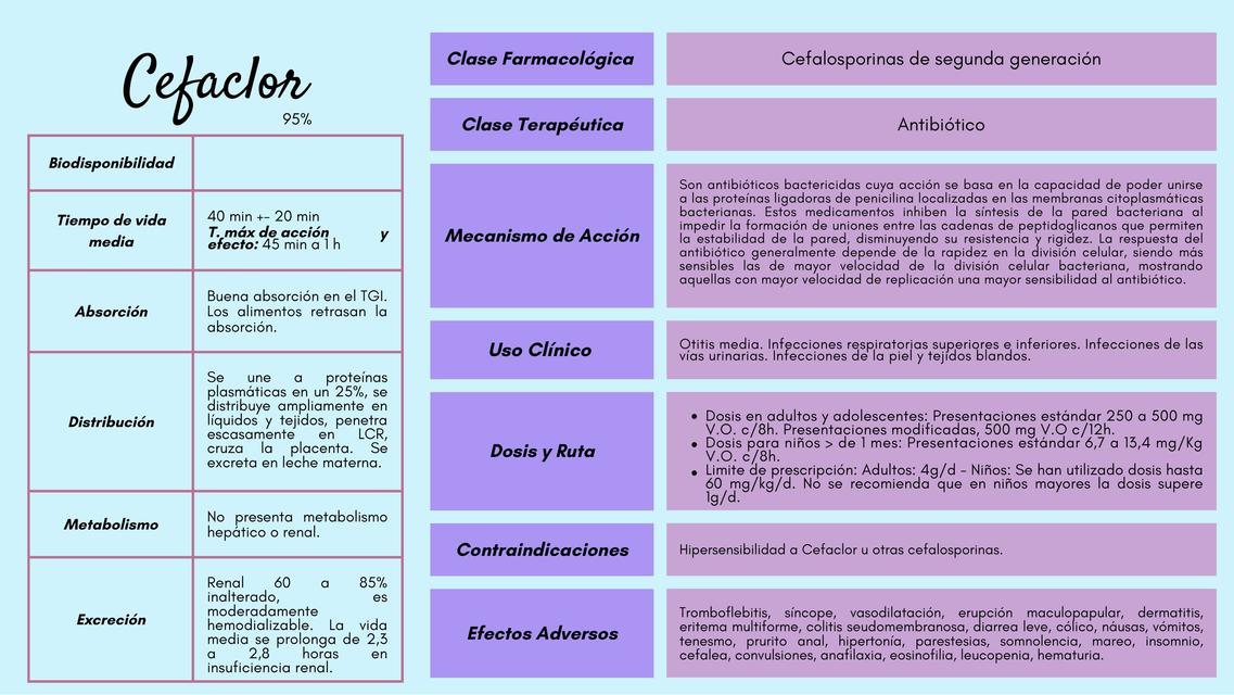 Flashcards de Cefactor | Por MARYURI LISBETH | uDocz