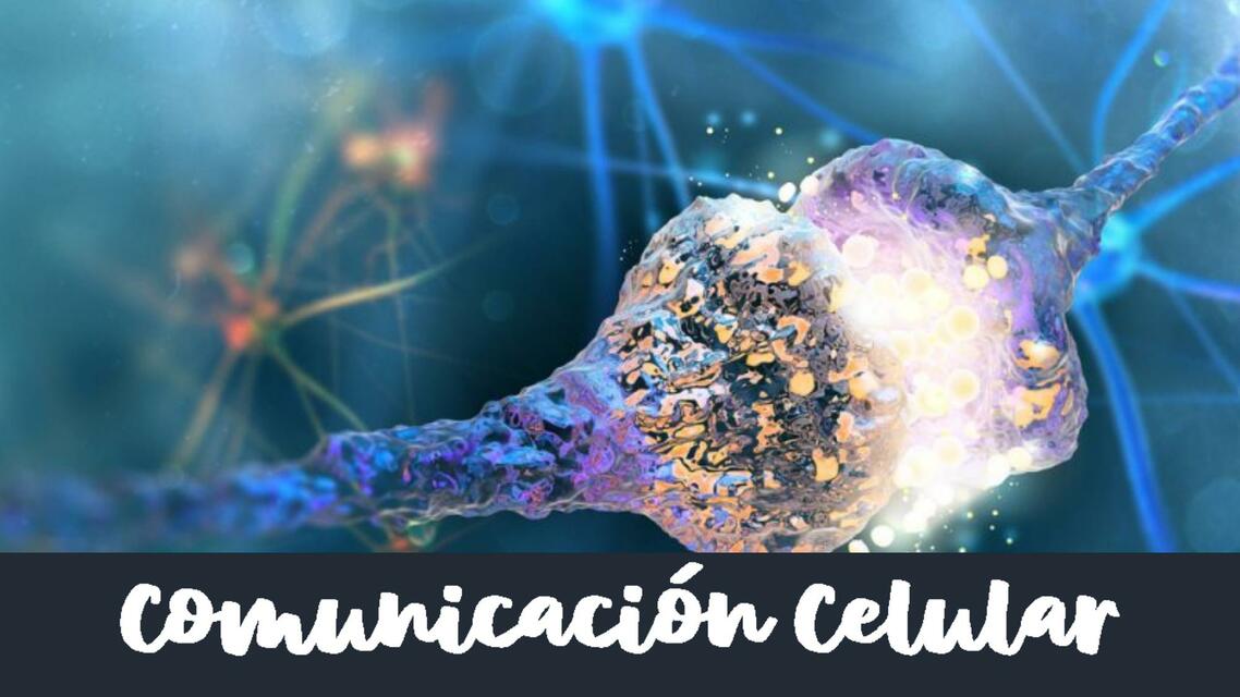 Comunicación Célular | ALTRUUS | uDocz