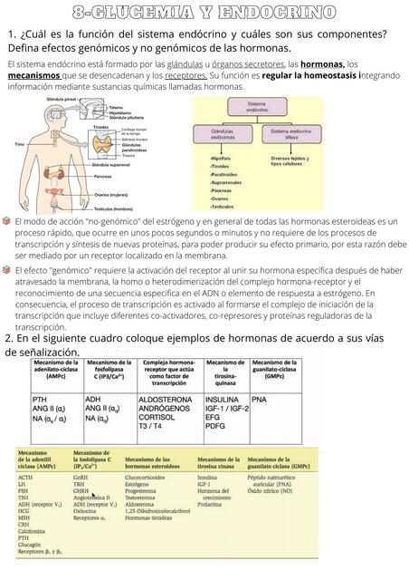 Glucemia y Endocrino | Sofia Truffa | uDocz