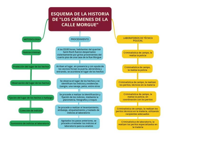 Esquema de la Historia de "Los Crímenes de la Calle Morgue" | Forensic ...