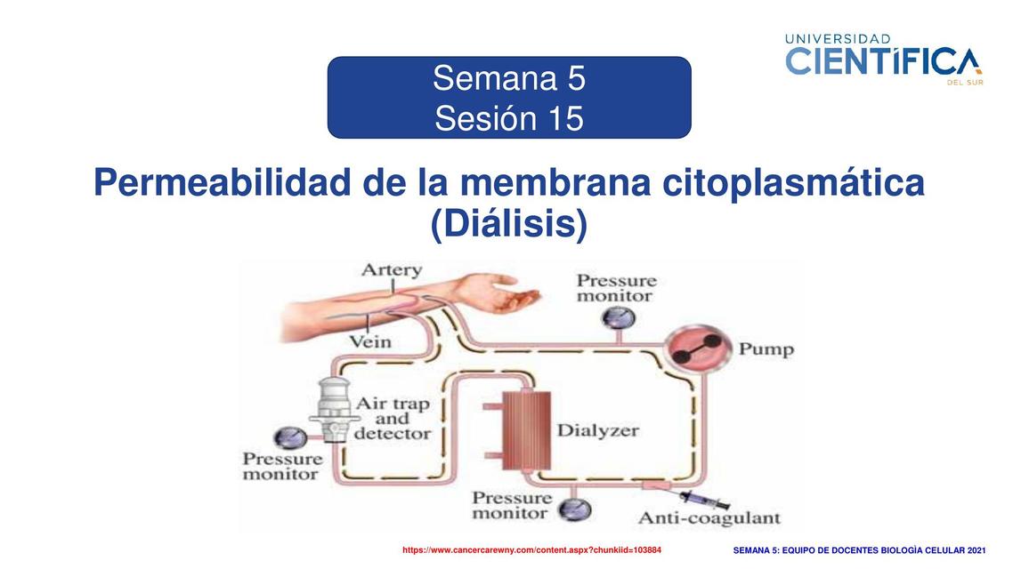 Diálisis | ALTRUUS | uDocz