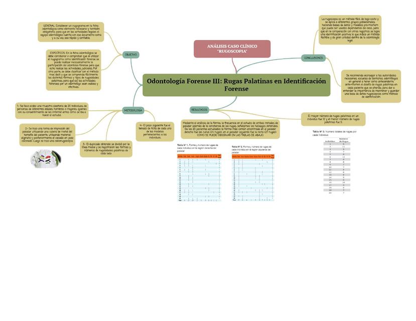 Odontología Forense III: Rugas Palatinas en Identificación Forense