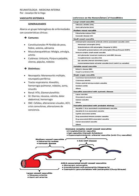 VASCULITIS RESUMEN | Dra_eritro | uDocz