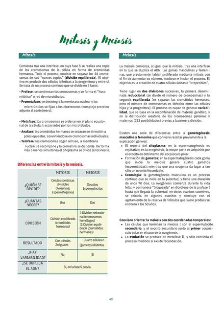 Mitosis y Meiosis | MARYURI LISBETH | uDocz