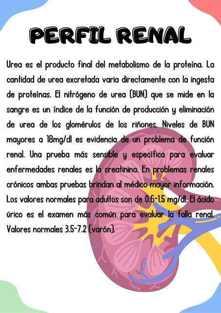 Perfil renal | Alan Díaz | uDocz