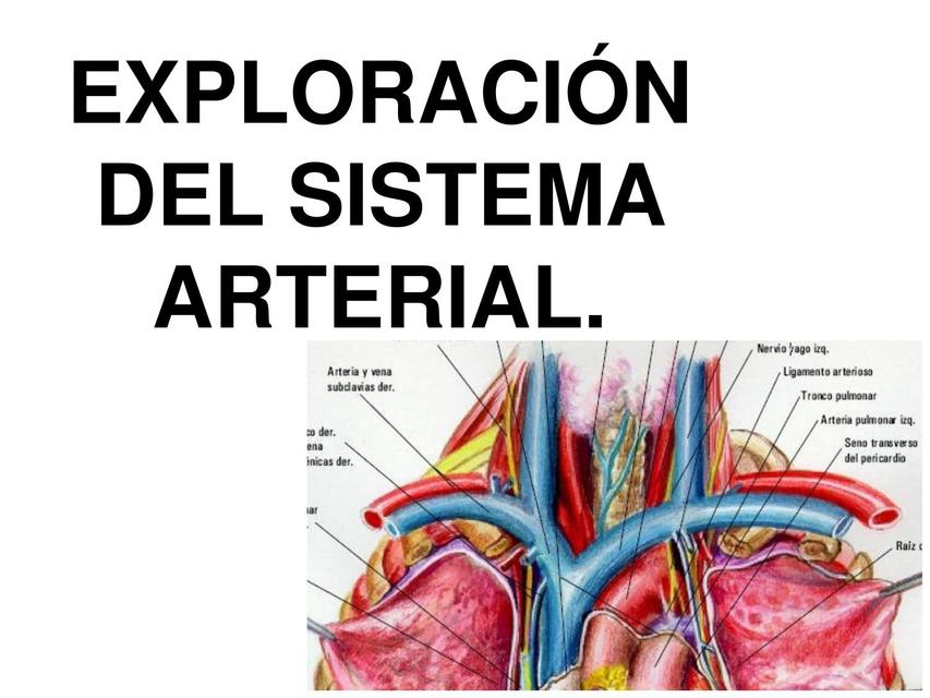 Examen físico de sistema arterial | RoseMedScience ( Rose Mary Favier ...