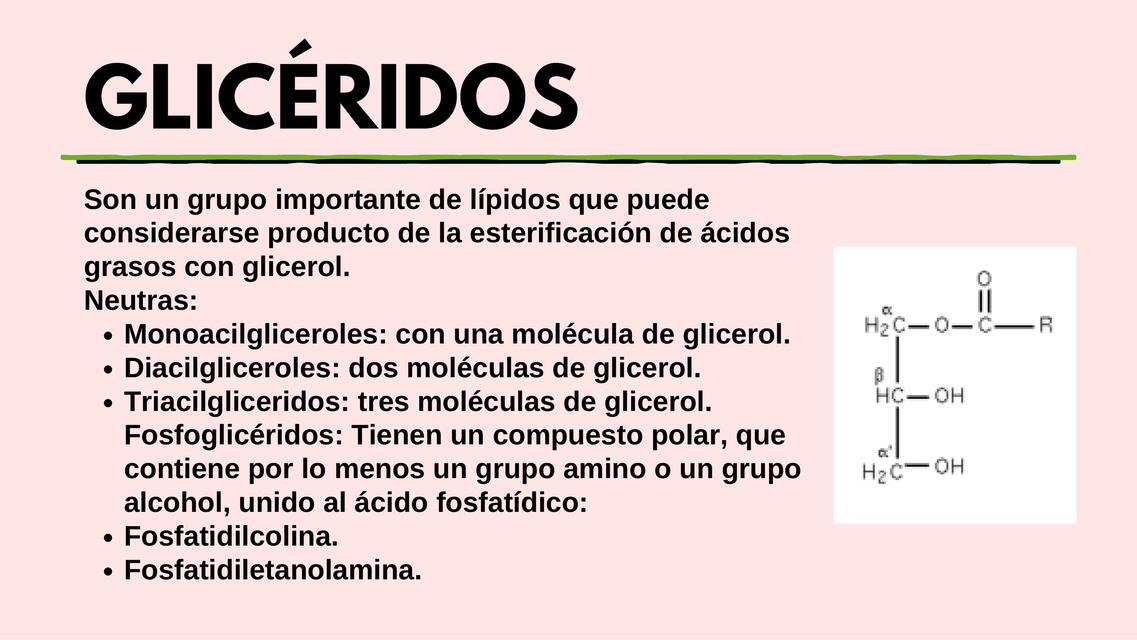 Resúmenes de Acilglicérido | Descarga apuntes de Acilglicérido