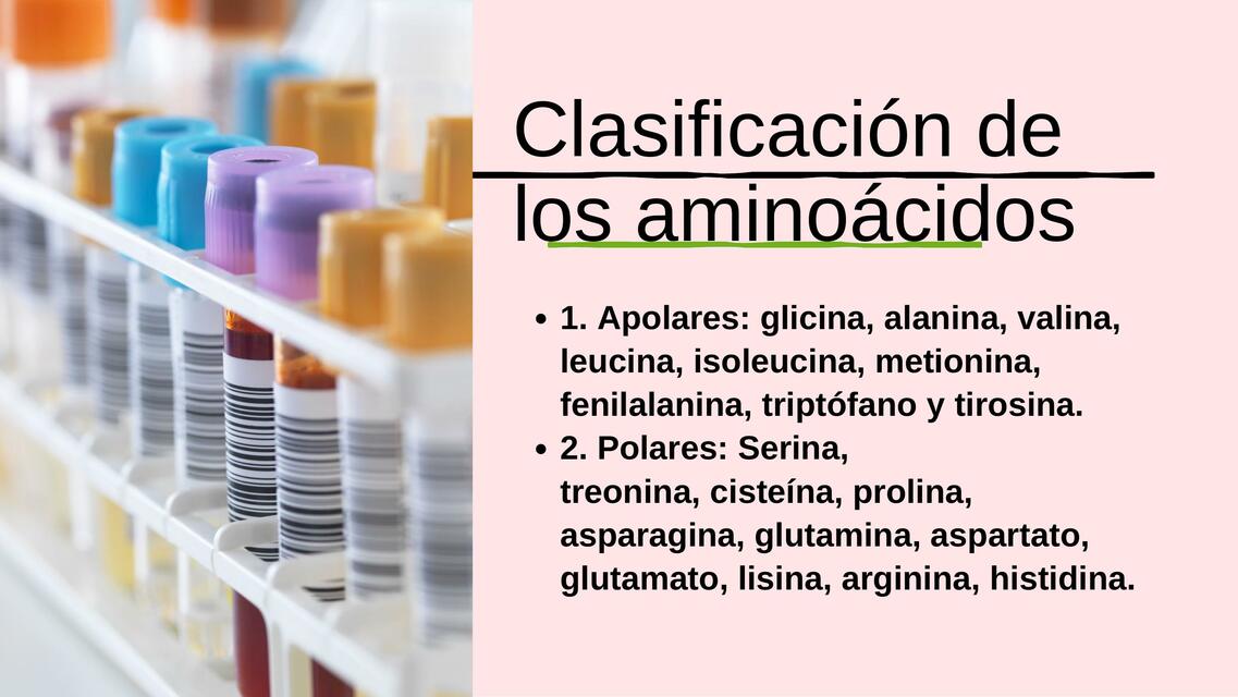 Clasificación de los Aminoácidos | MARYURI LISBETH | uDocz