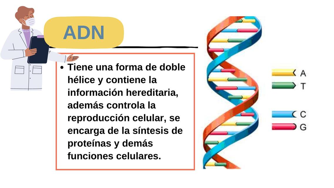 ADN | MARYURI LISBETH | uDocz