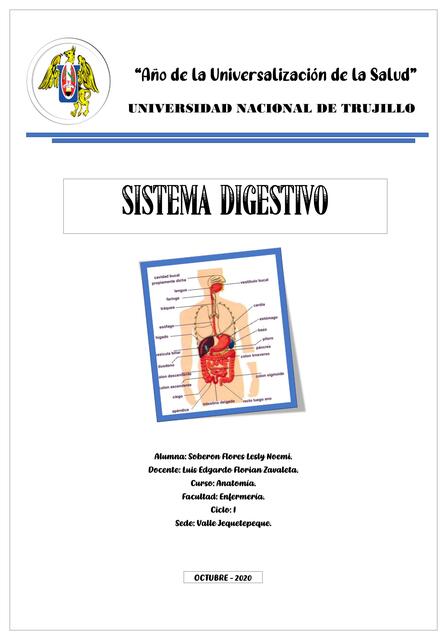 Sistema Digestivo | ABC 123 | uDocz