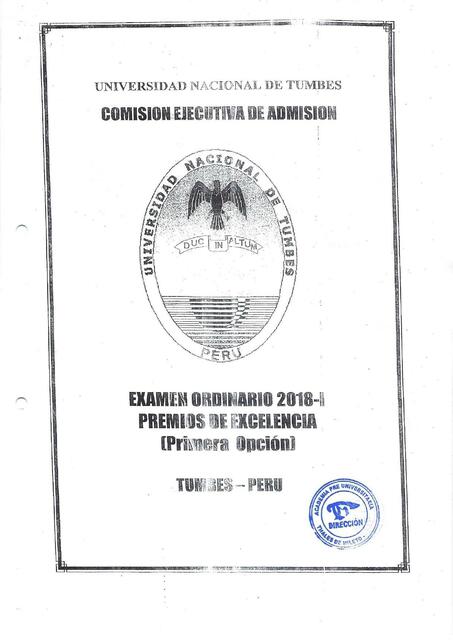 Examen ordinario 2018 - I excelencia primera opción | Giussepe Mori Fernández | uDocz