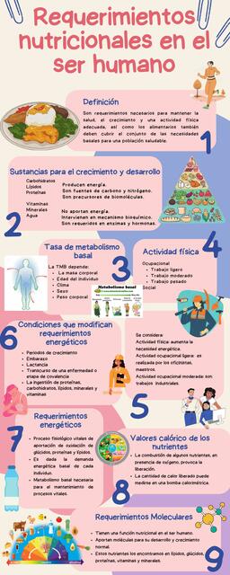 Requerimientos nutricionales en el ser humano | Melani Tapia | uDocz