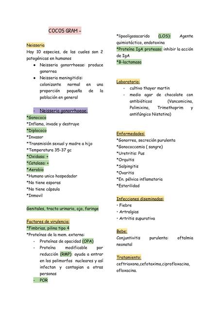 Cocos Gram - | Abril Calderón Med | uDocz