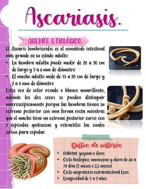 Ascariasis Icd 10